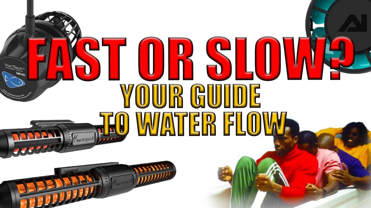 Fast Or Slow? Your Guide To Water Flow! - Aquarium Keeping
